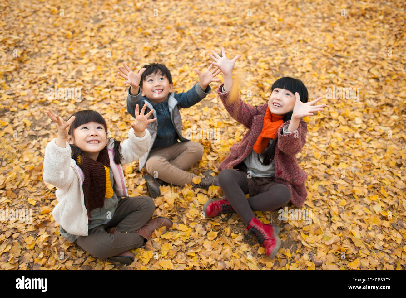 Three children catching falling leaves Stock Photo - Alamy