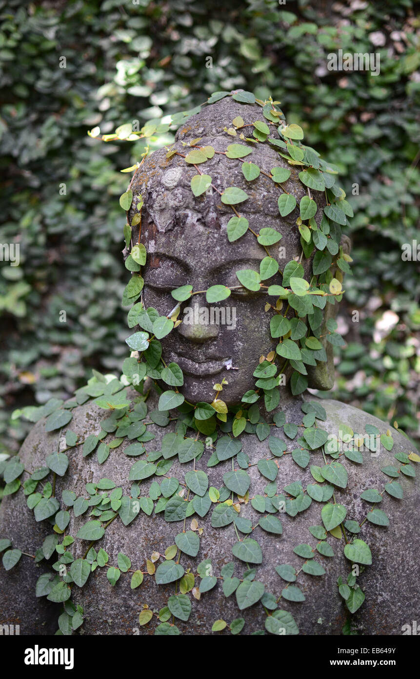 Vines at the head of a Buddha statue in old metropolitan Trowulan ...
