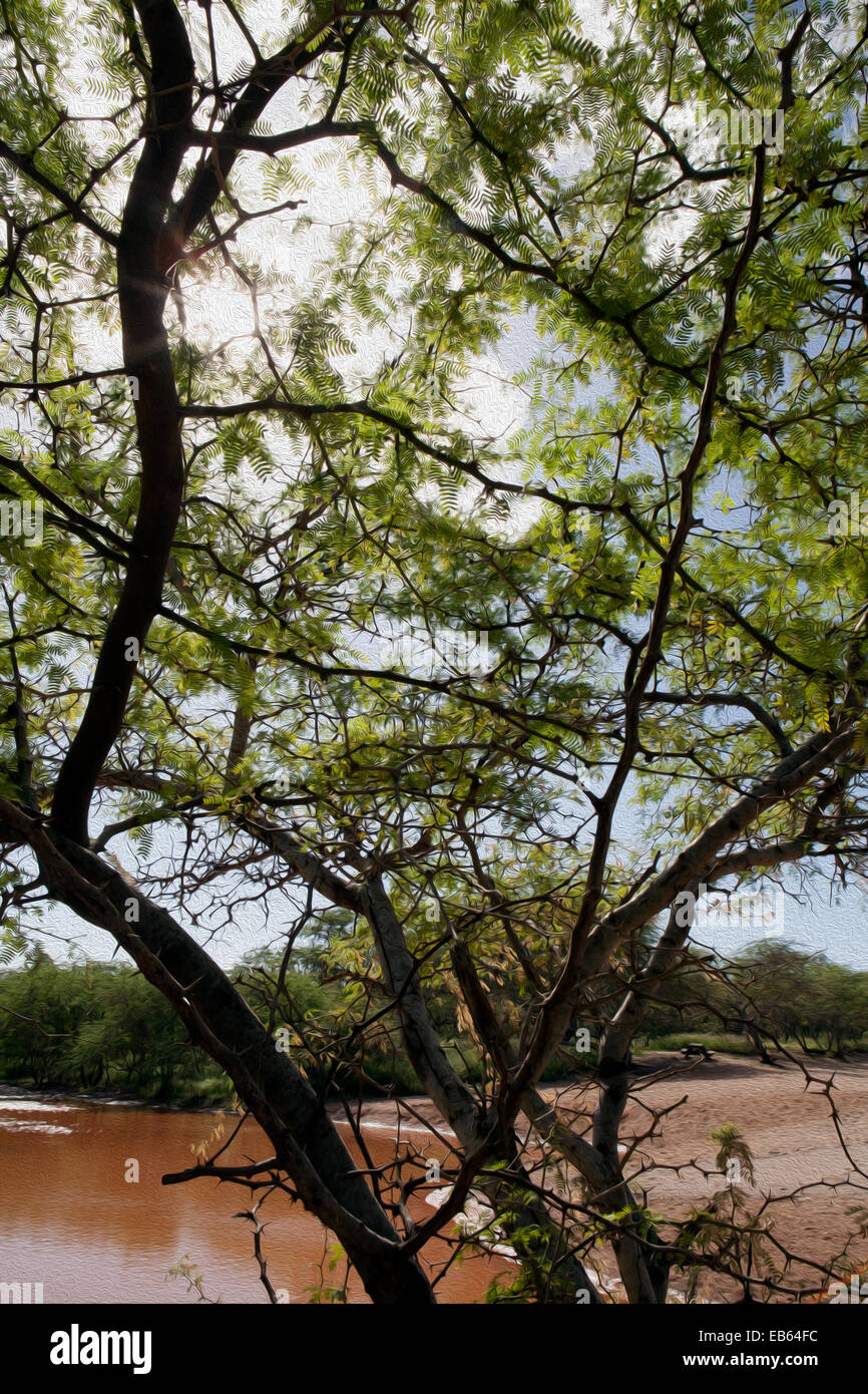 Tree with paint hi-res stock photography and images - Alamy