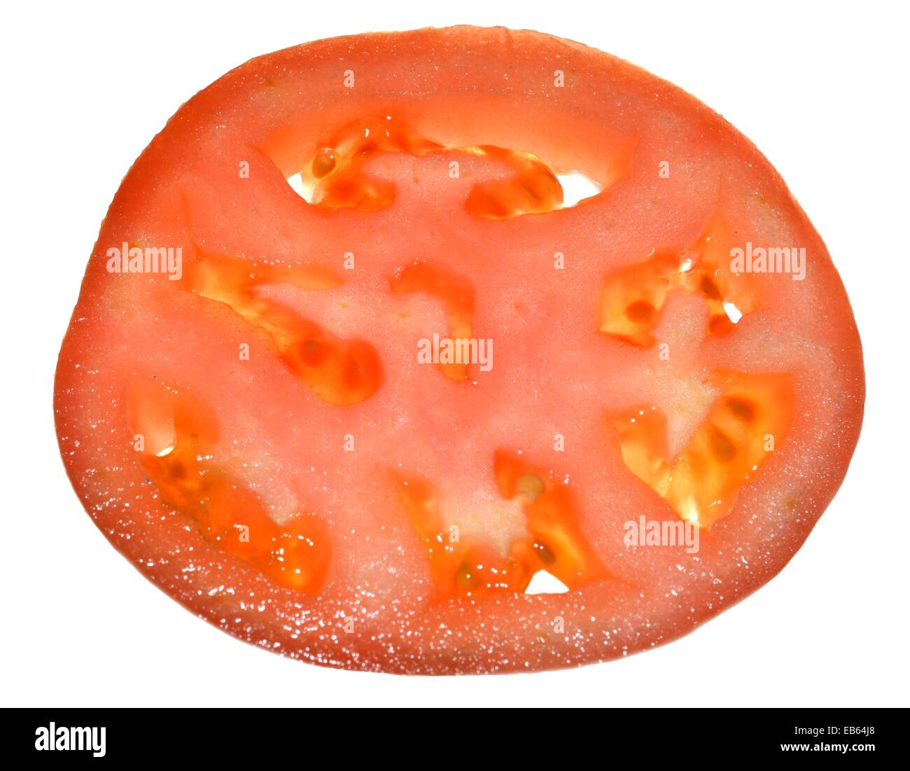 Backlit tomato slice on a white background Stock Photo - Alamy