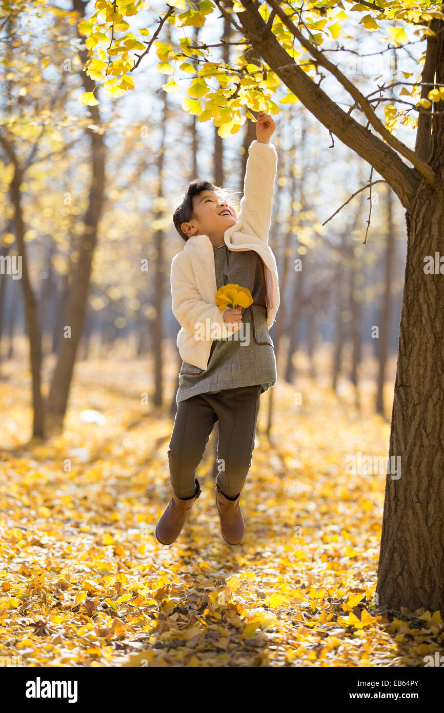 Little girl picking leaves from tree Stock Photo - Alamy