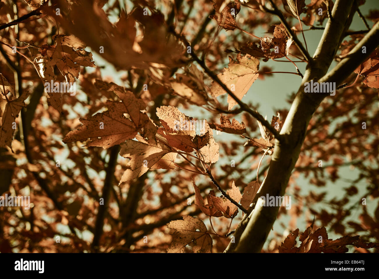 New jersey east orange hi-res stock photography and images - Alamy