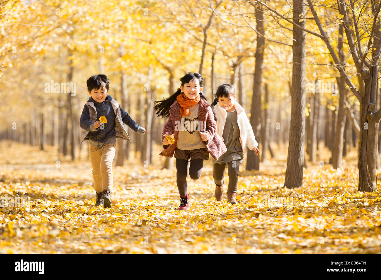 Child outdoor laughing running hi-res stock photography and images - Alamy