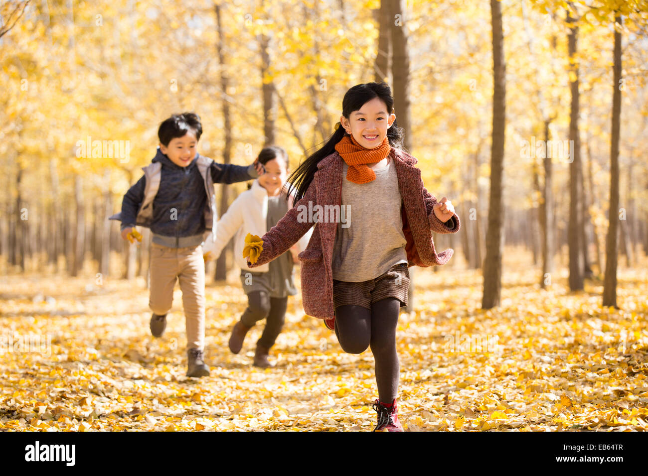 Three children running in autumn woods Stock Photo - Alamy