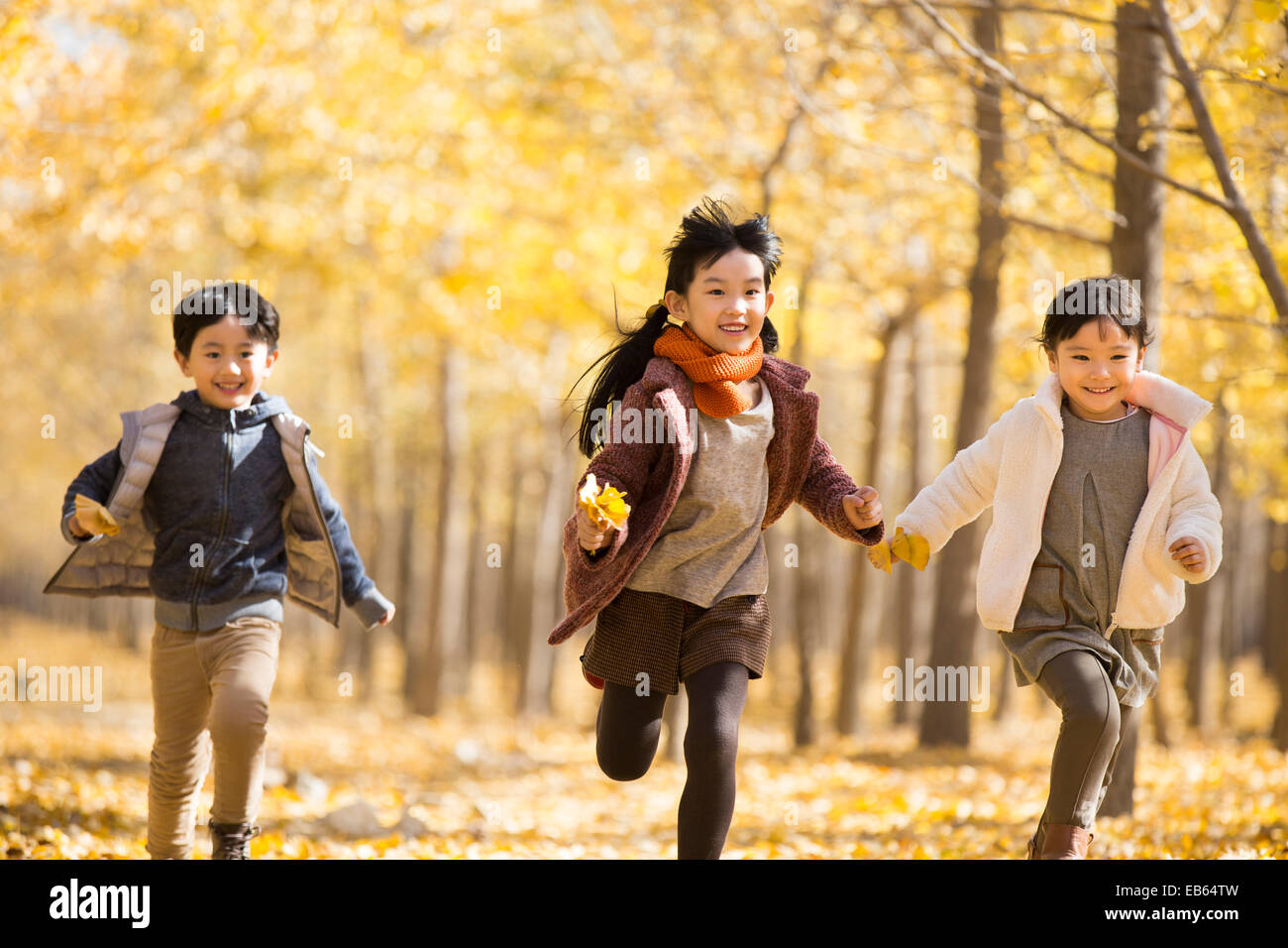 Three children running in autumn woods Stock Photo - Alamy