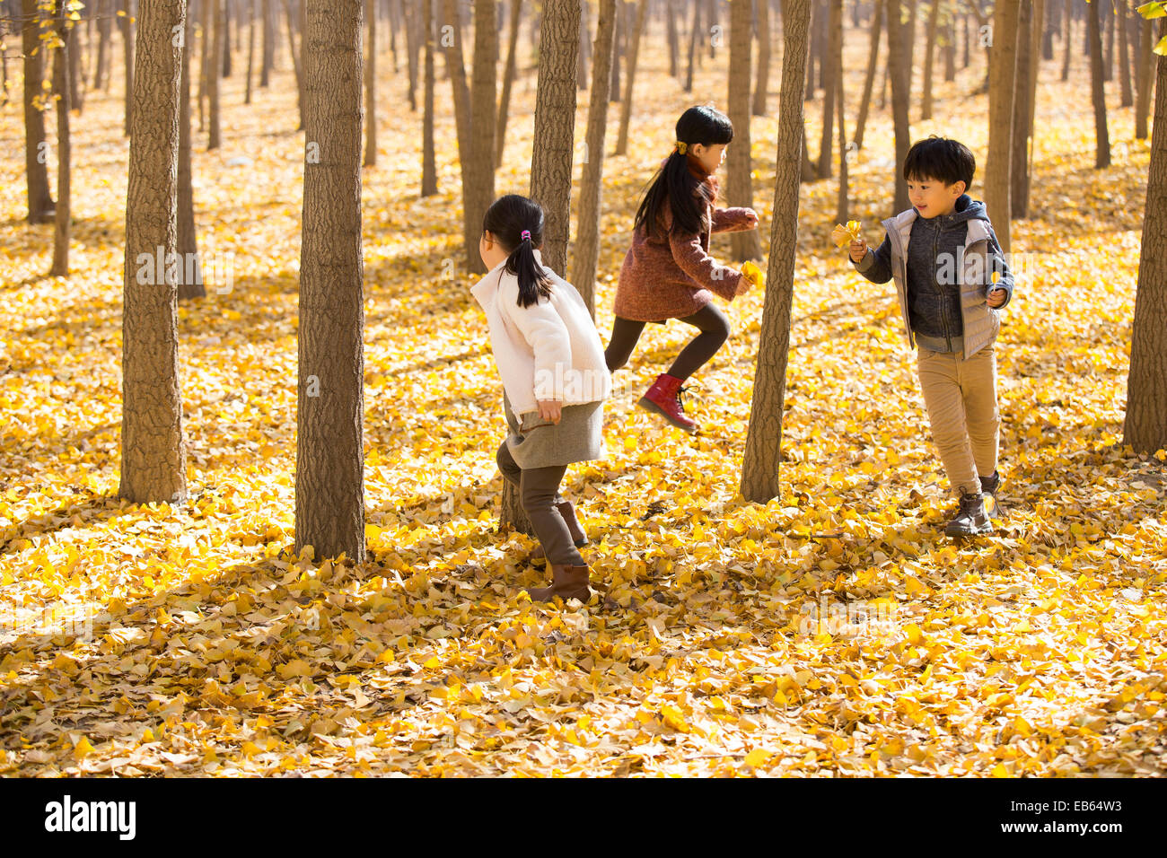 Three children playing in autumn woods Stock Photo - Alamy