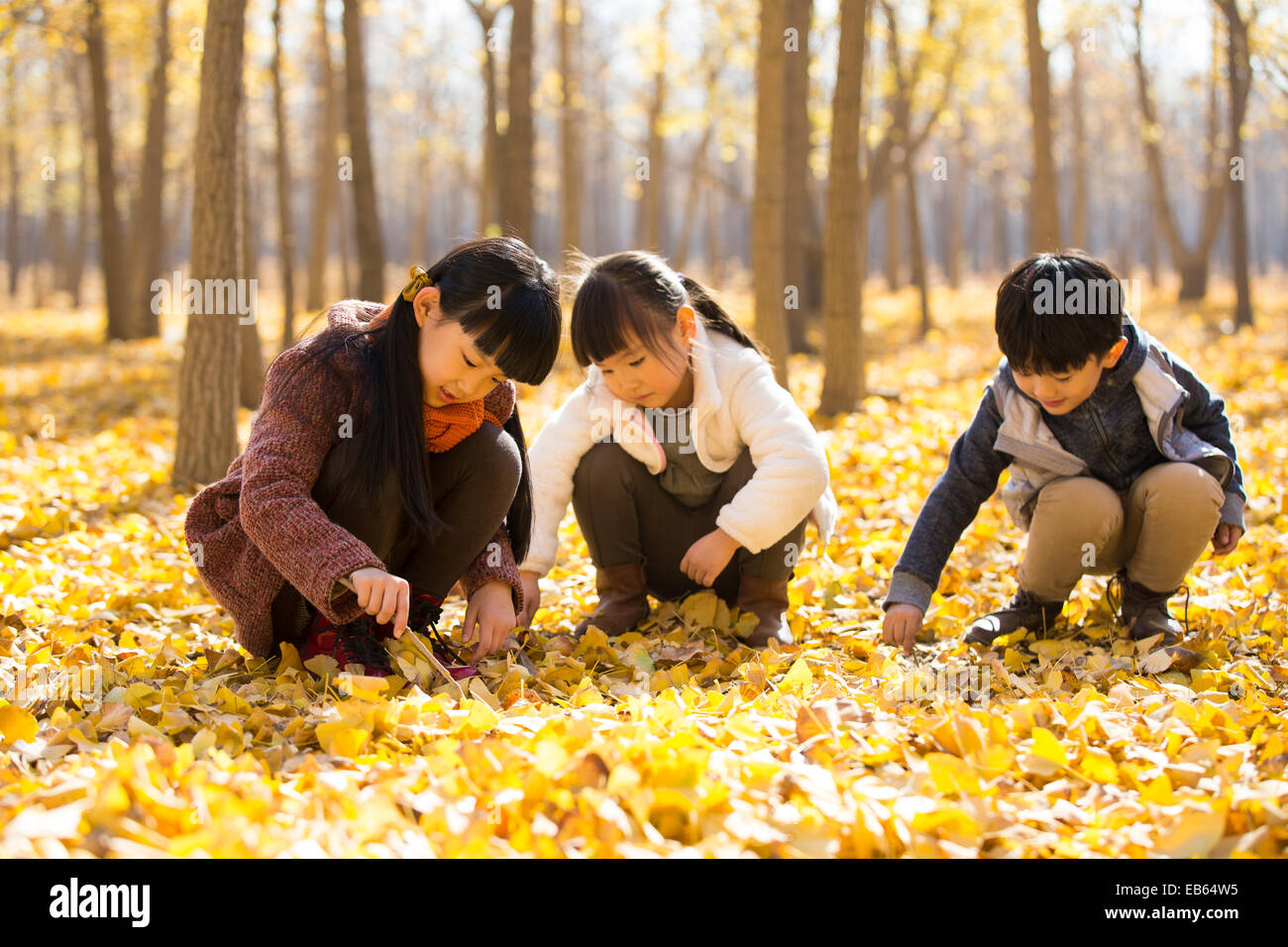 Three children picking up autumn leaves Stock Photo - Alamy