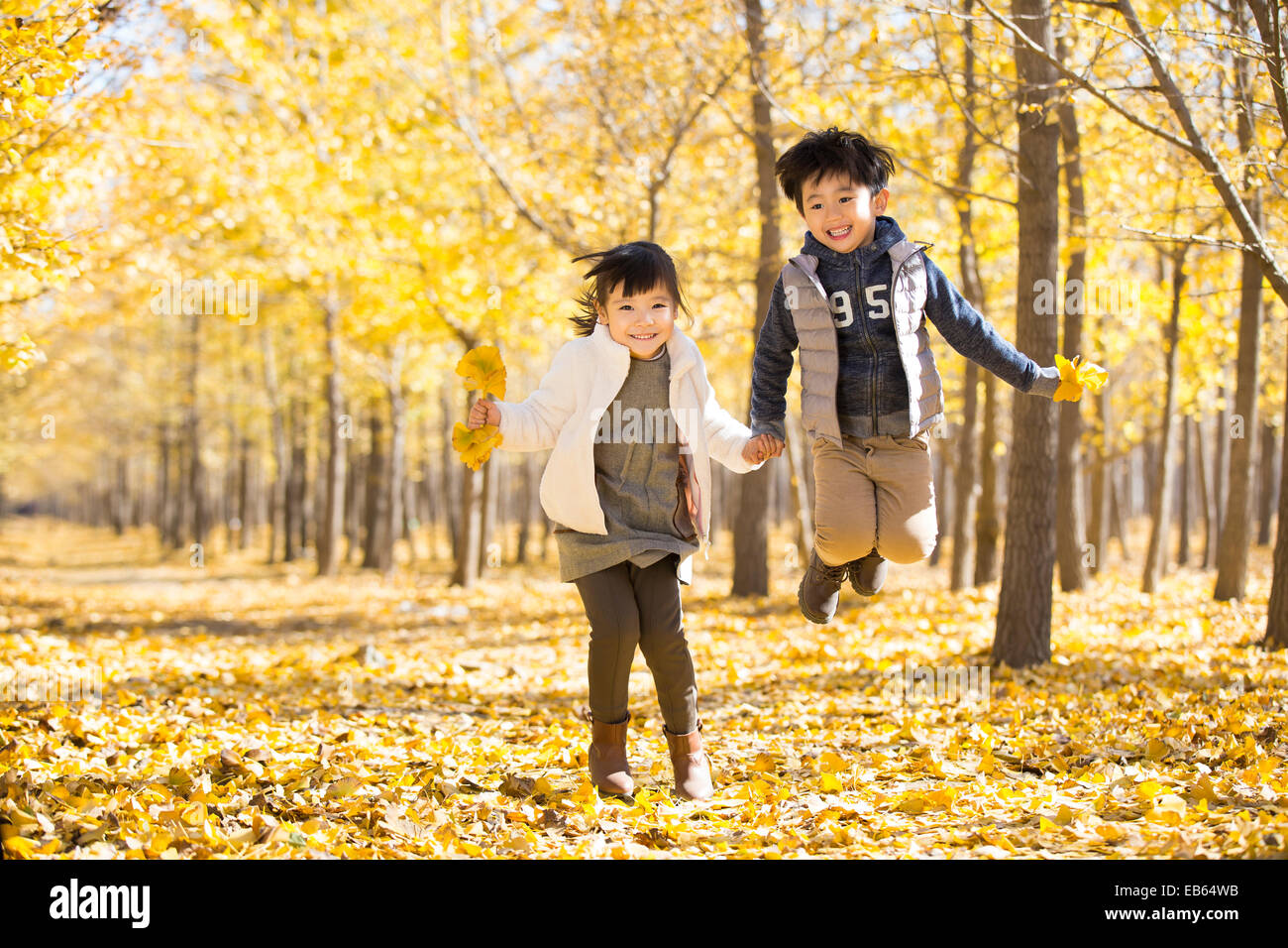 Two children playing in autumn woods Stock Photo - Alamy