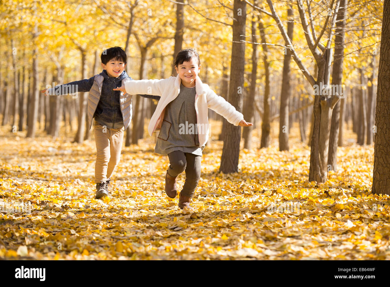Two children playing in autumn woods Stock Photo - Alamy