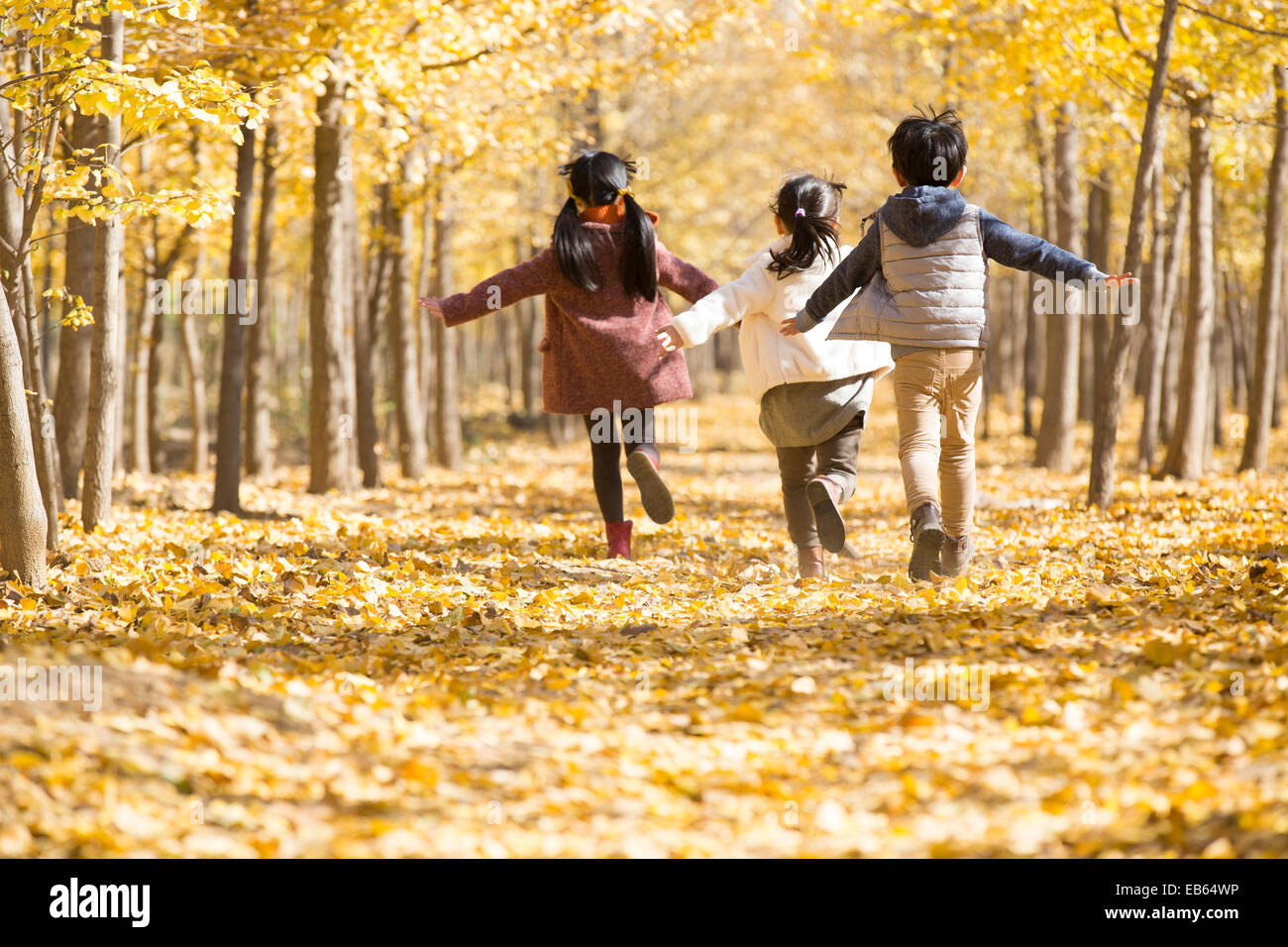 Three children playing in autumn woods Stock Photo - Alamy
