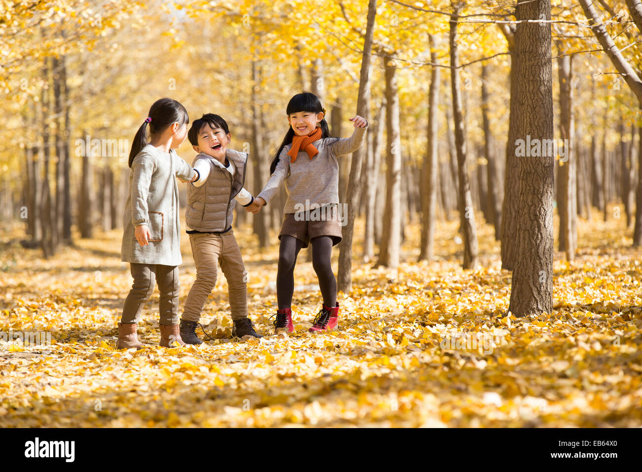 Three children playing in autumn woods Stock Photo - Alamy