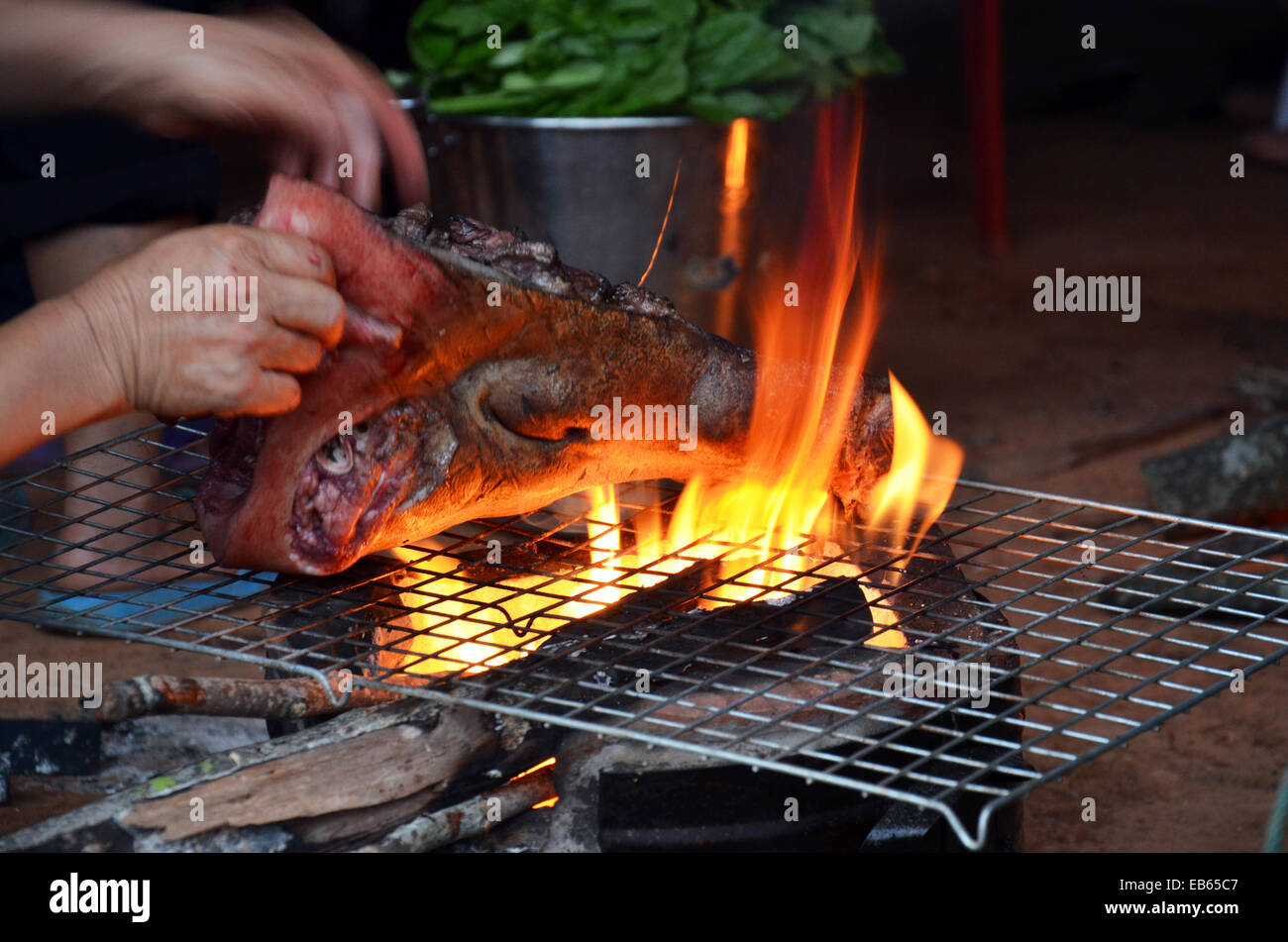 Head Pork grilled for wedding of Hmong or Mong Stock Photo - Alamy