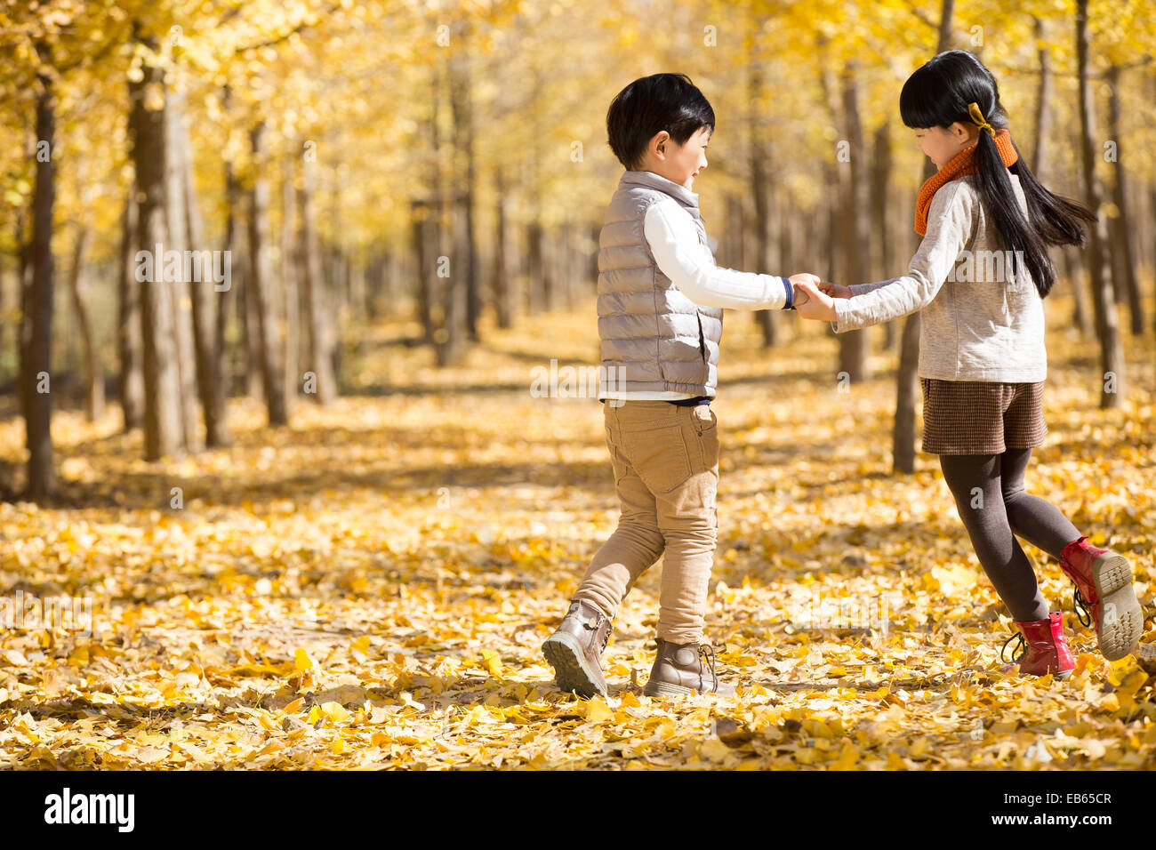 Two children playing in autumn woods Stock Photo - Alamy