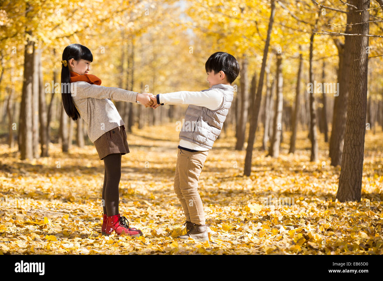 Two children playing in autumn woods Stock Photo - Alamy