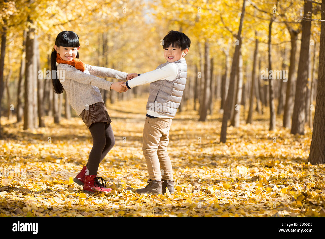 Two children playing in autumn woods Stock Photo - Alamy