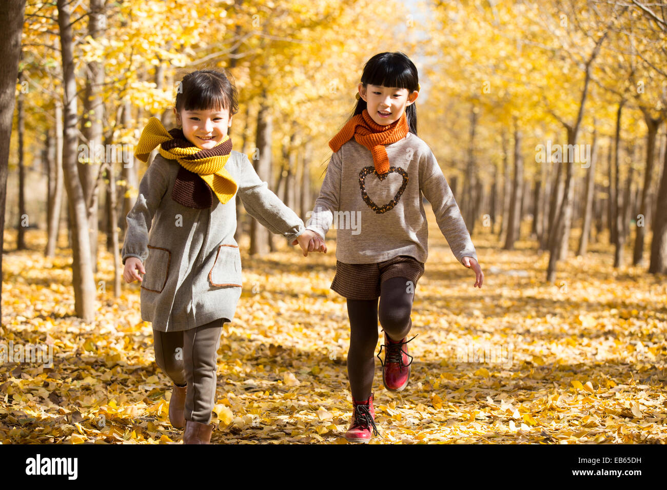 Two children playing in autumn woods Stock Photo - Alamy