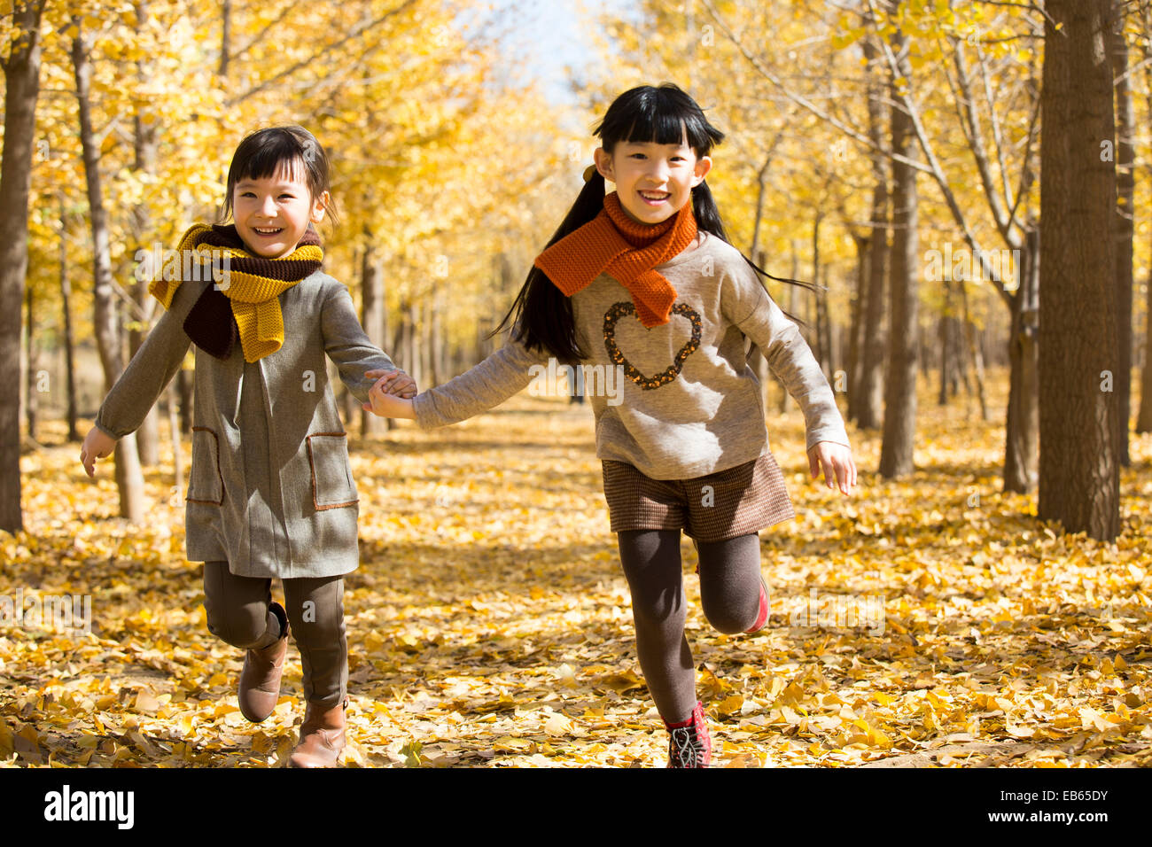 Two children playing in autumn woods Stock Photo - Alamy