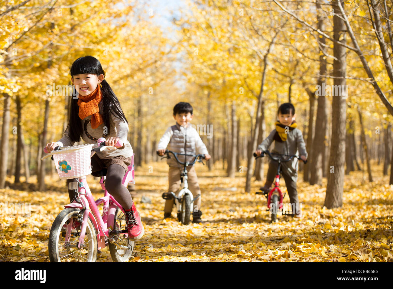 Woods child cycling hi-res stock photography and images - Alamy