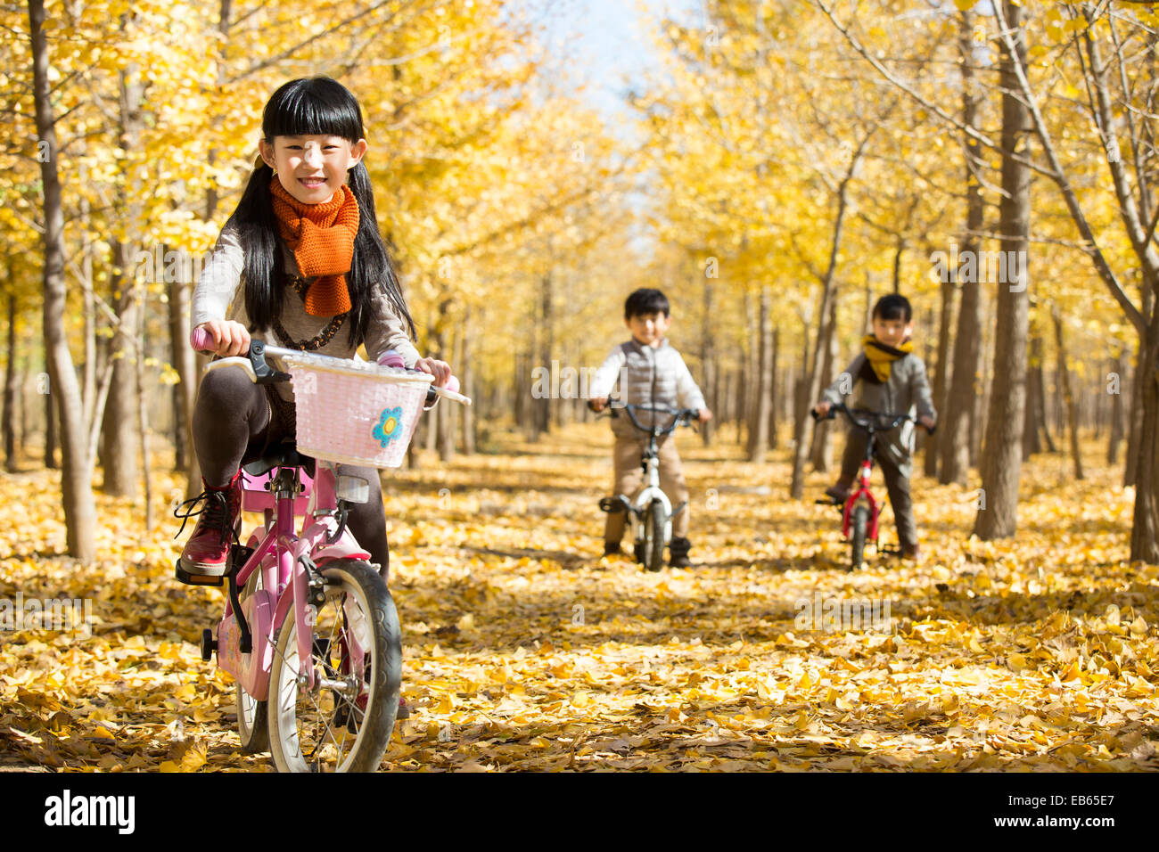 Woods child cycling hi-res stock photography and images - Alamy