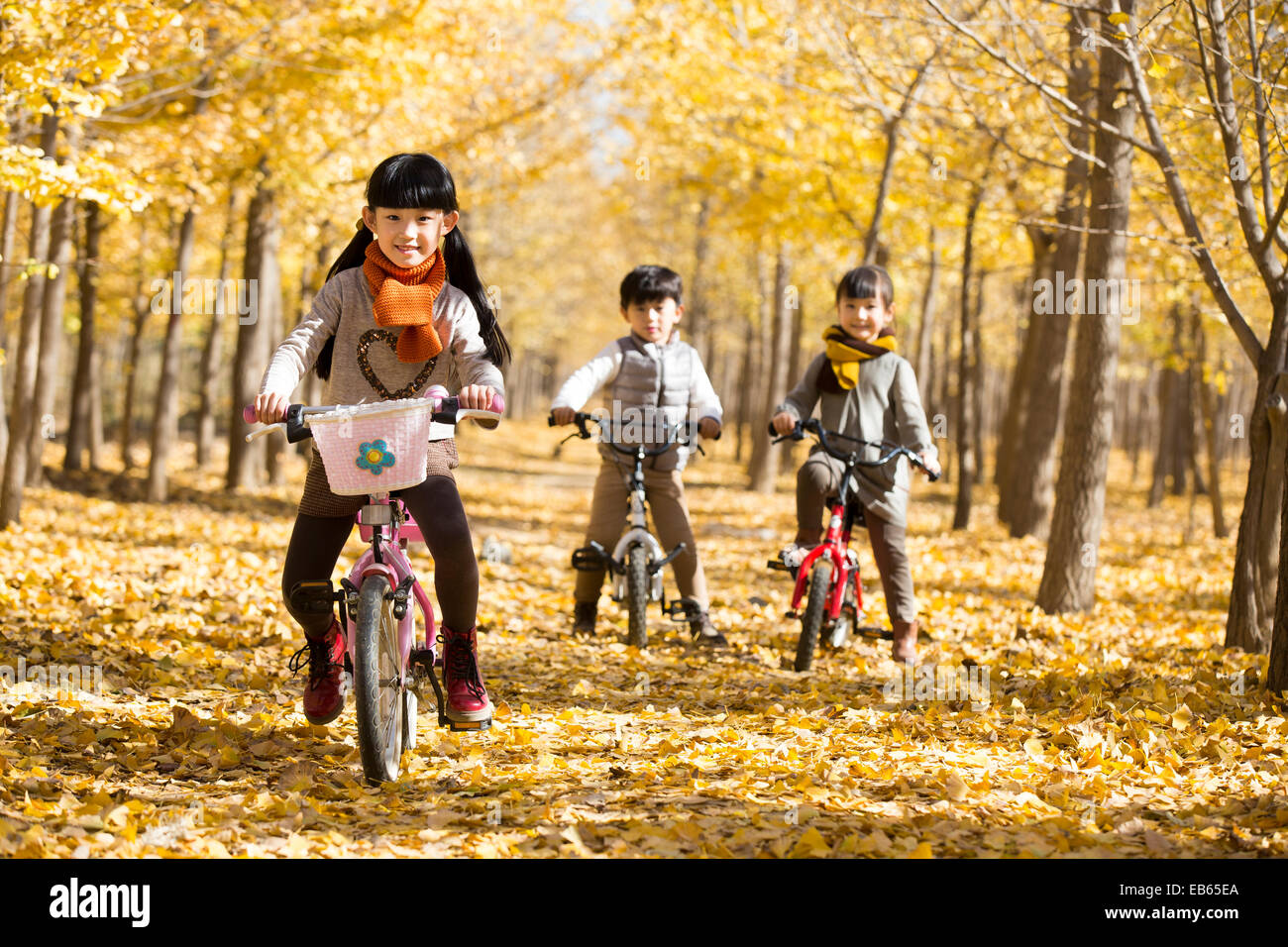 Woods child cycling hi-res stock photography and images - Alamy