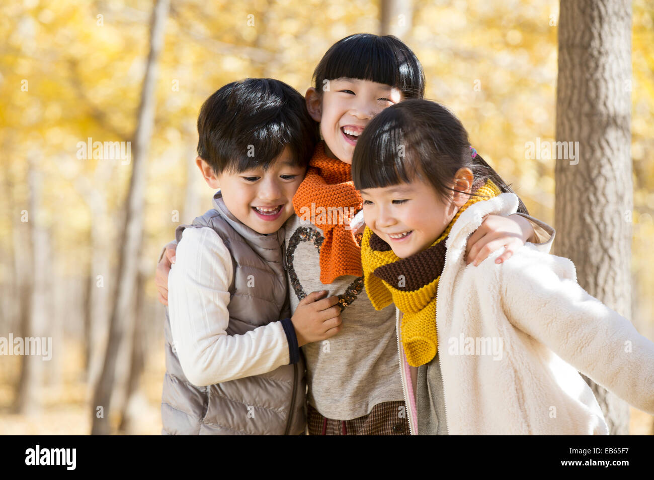 Three children playing in autumn woods Stock Photo - Alamy