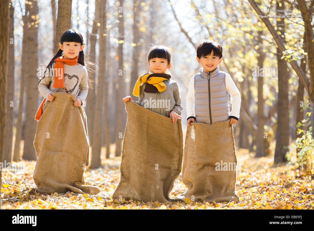 Three children having a sack race in autumn woods Stock Photo - Alamy