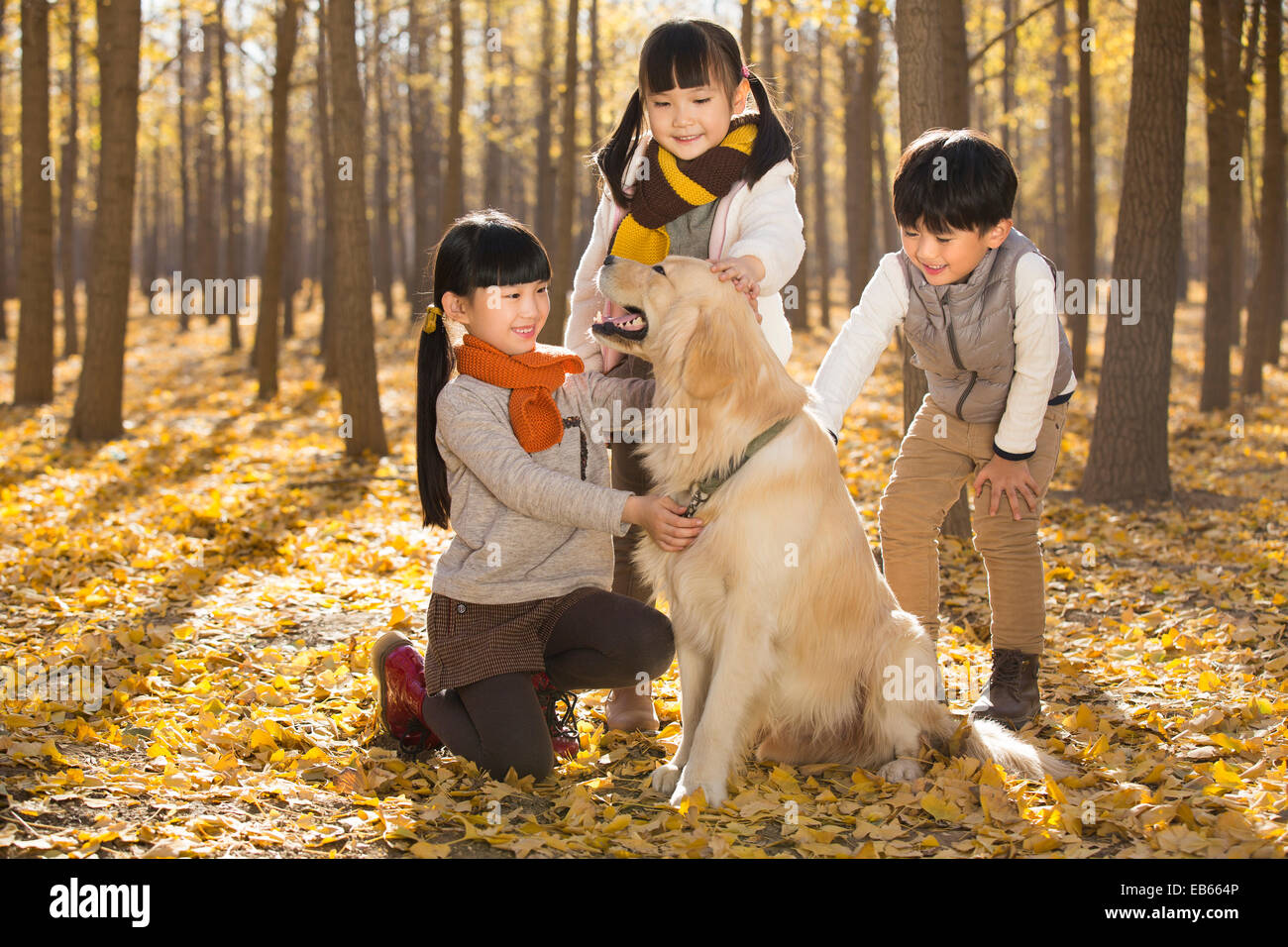 Three children playing with dog in autumn woods Stock Photo - Alamy