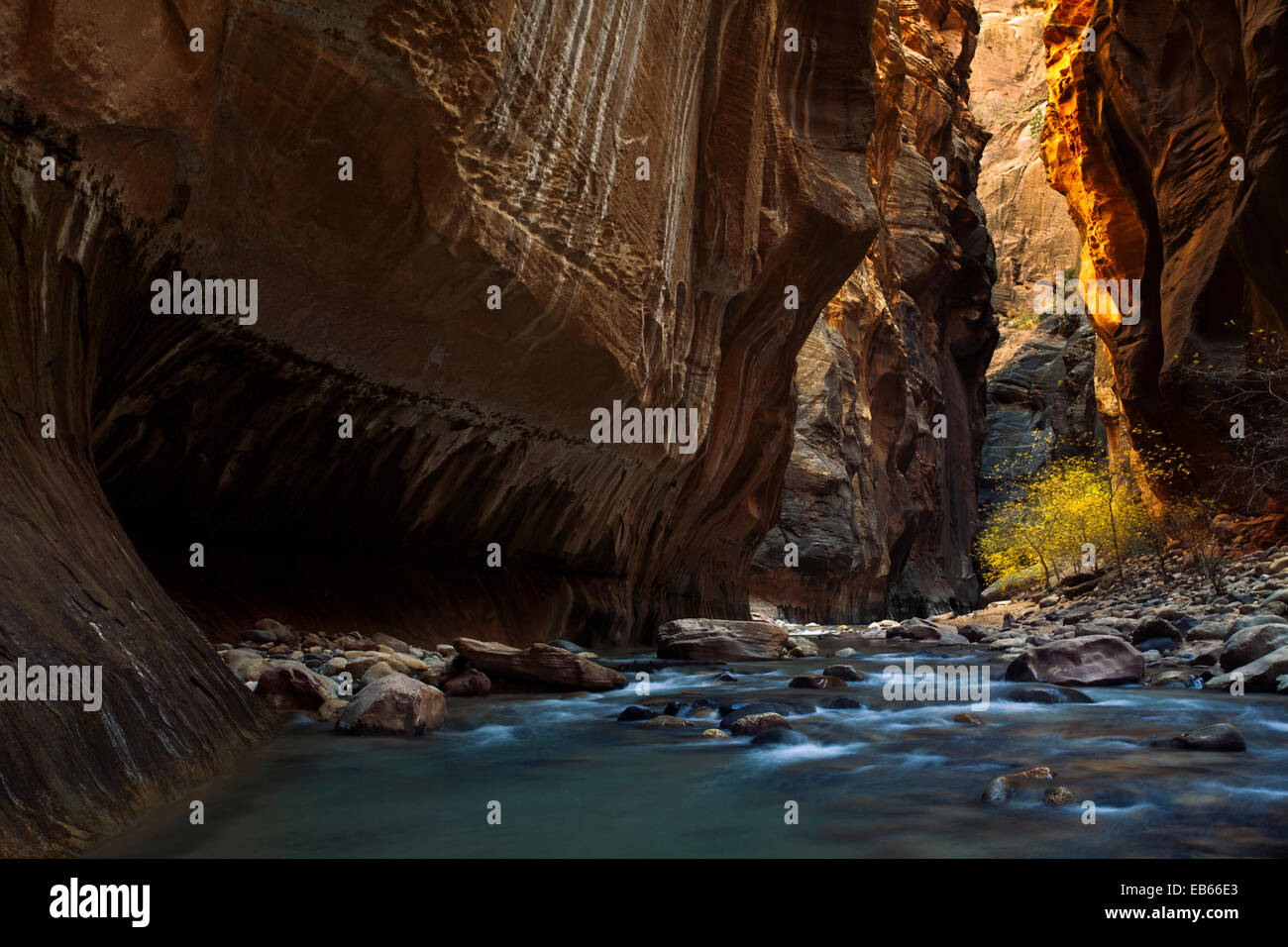 The Narrows in Utah's Zion National Park Stock Photo - Alamy