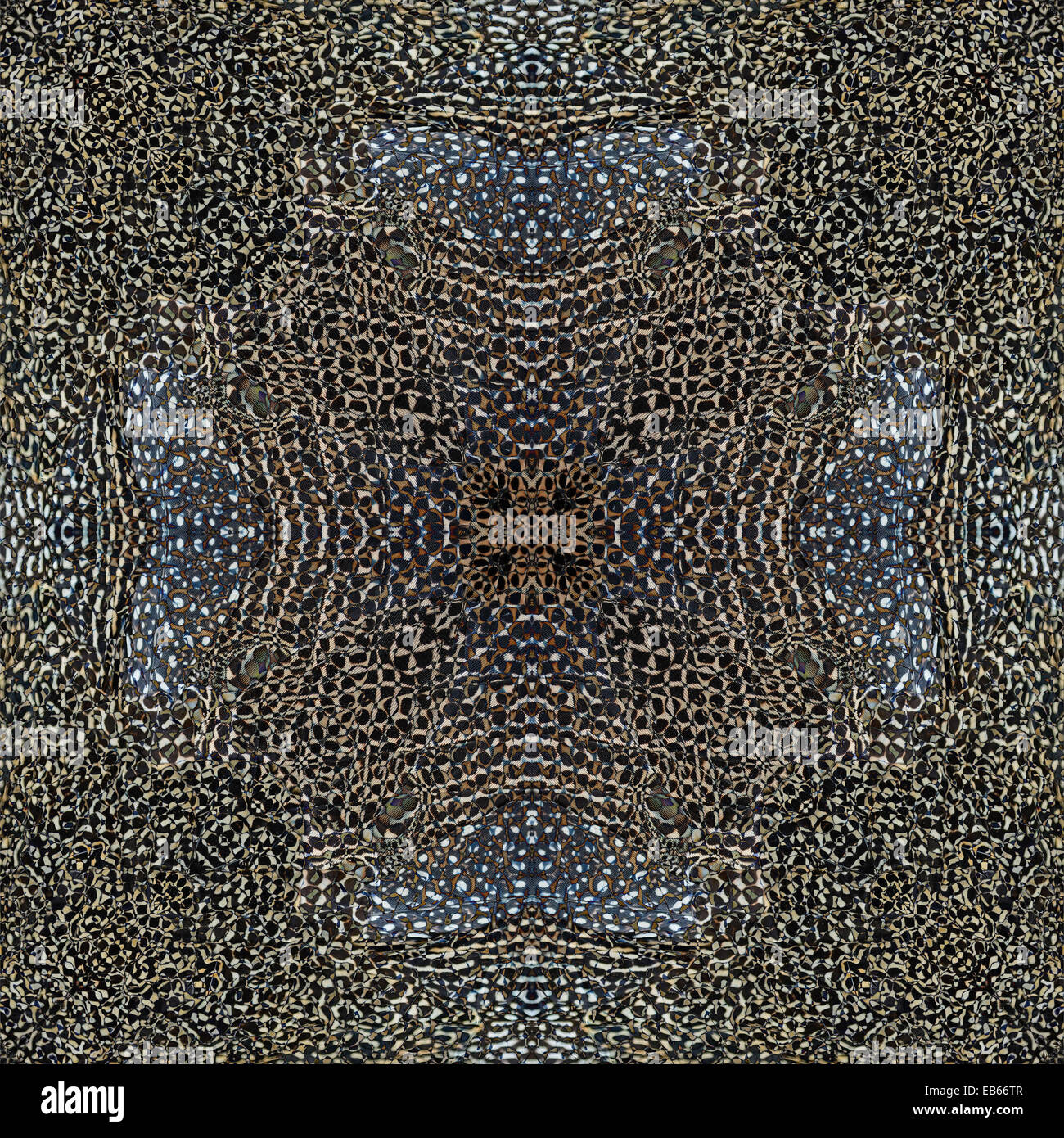 Seamless bird pattern hi-res stock photography and images - Alamy