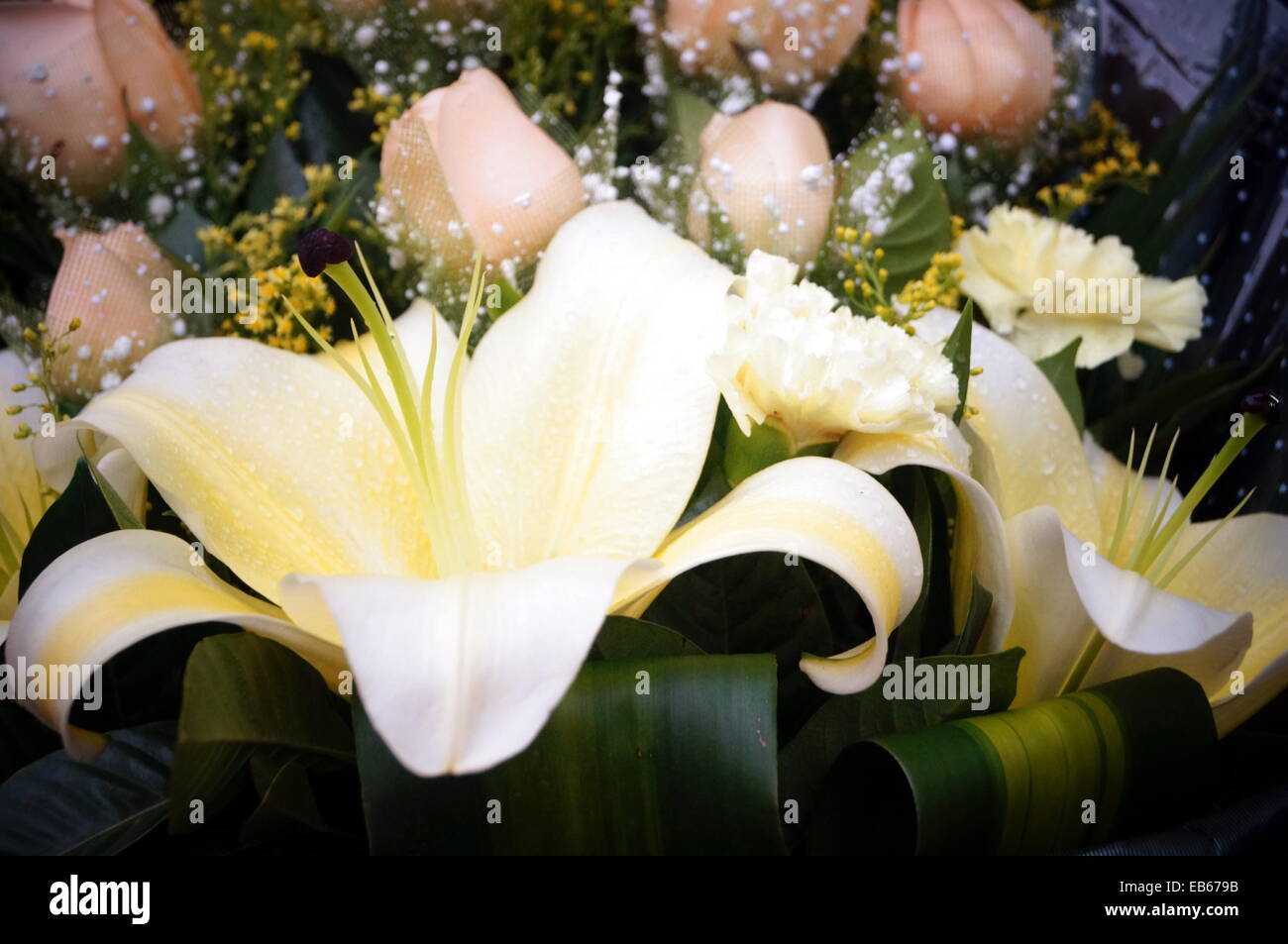 Rose, on display in a flower shop, ready to sell Stock Photo - Alamy
