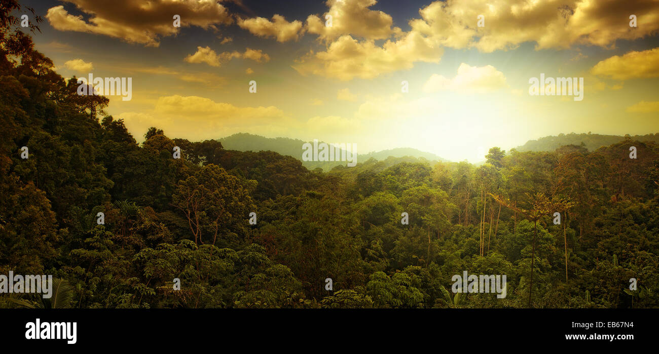 panoramic view of nice tropical sunset over jungle hills Stock Photo ...