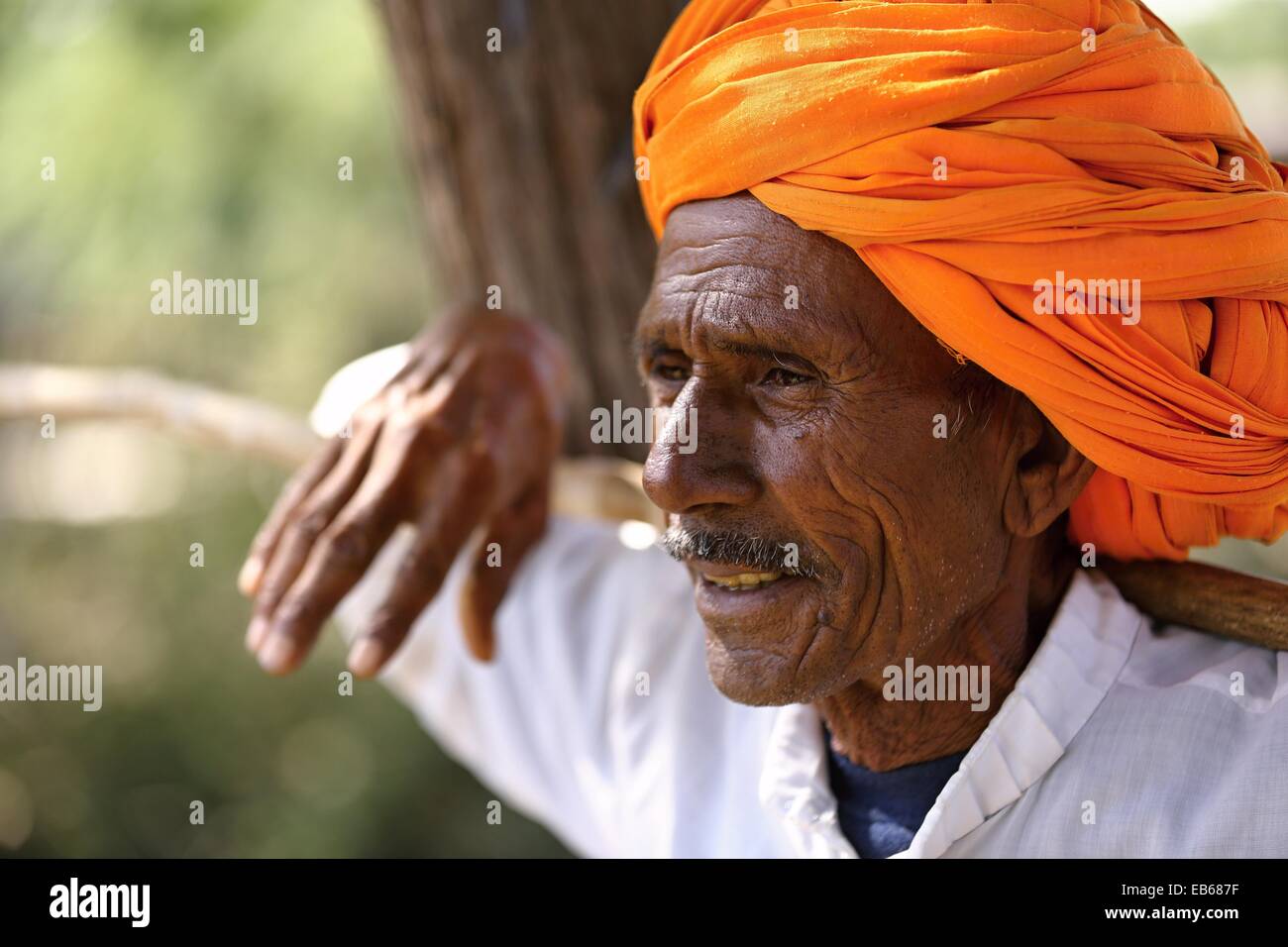 Indian man of Rajasthan portrait India Stock Photo - Alamy