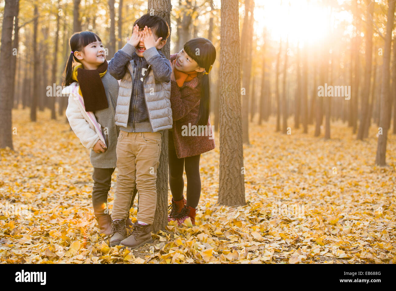 Three children playing hide and seek in autumn woods Stock Photo - Alamy