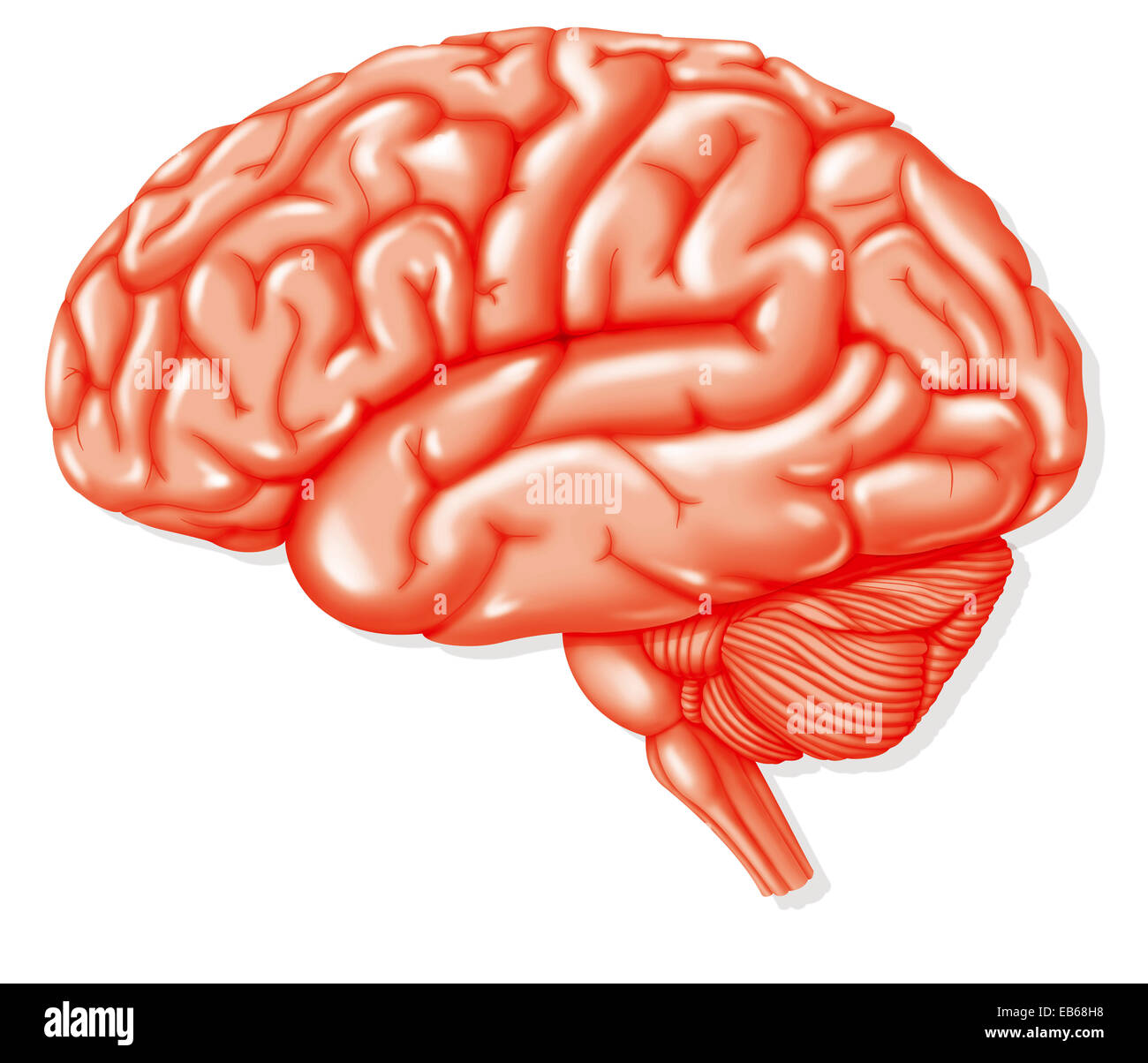 Coma art hi-res stock photography and images - Alamy