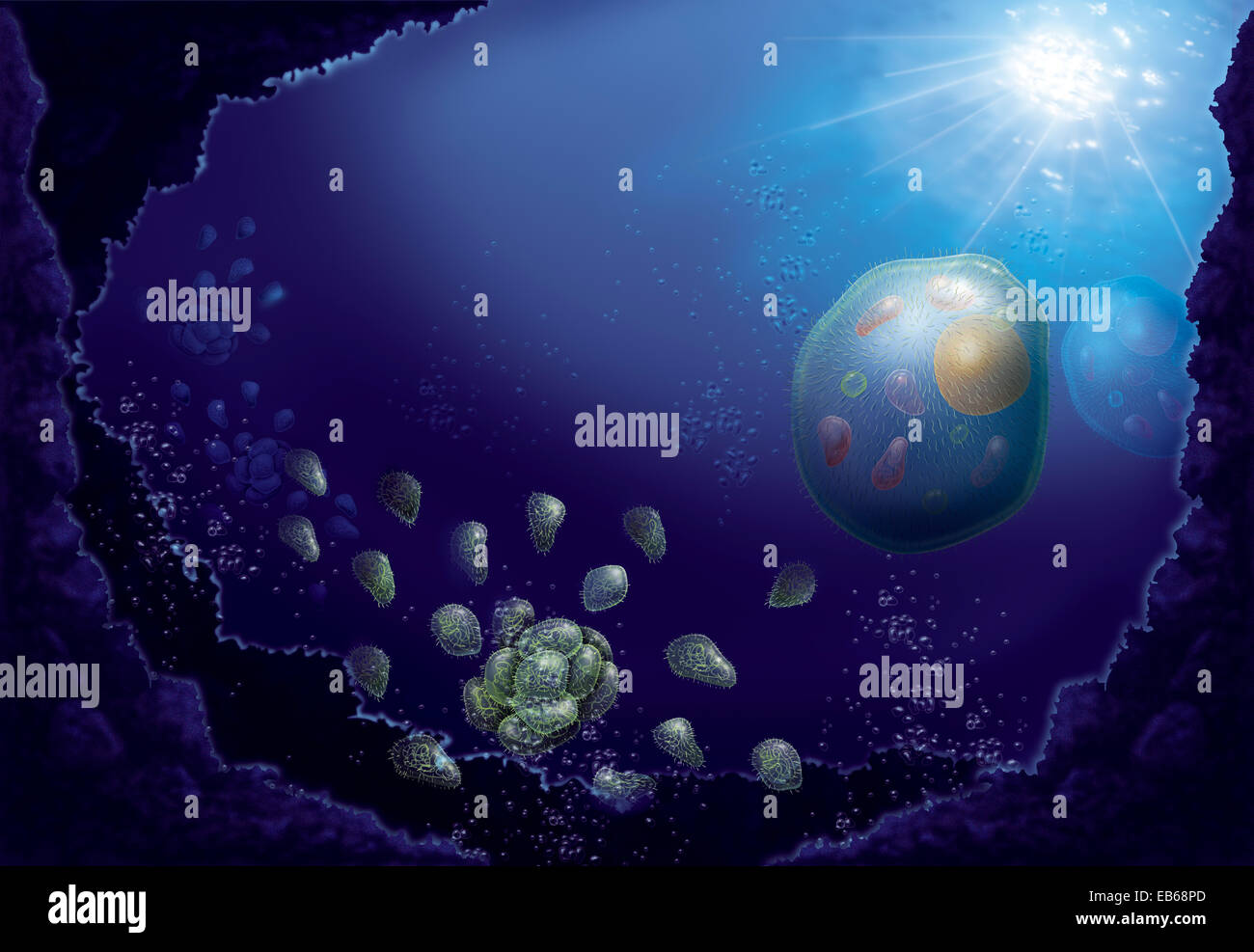 Evolution hi-res stock photography and images - Alamy