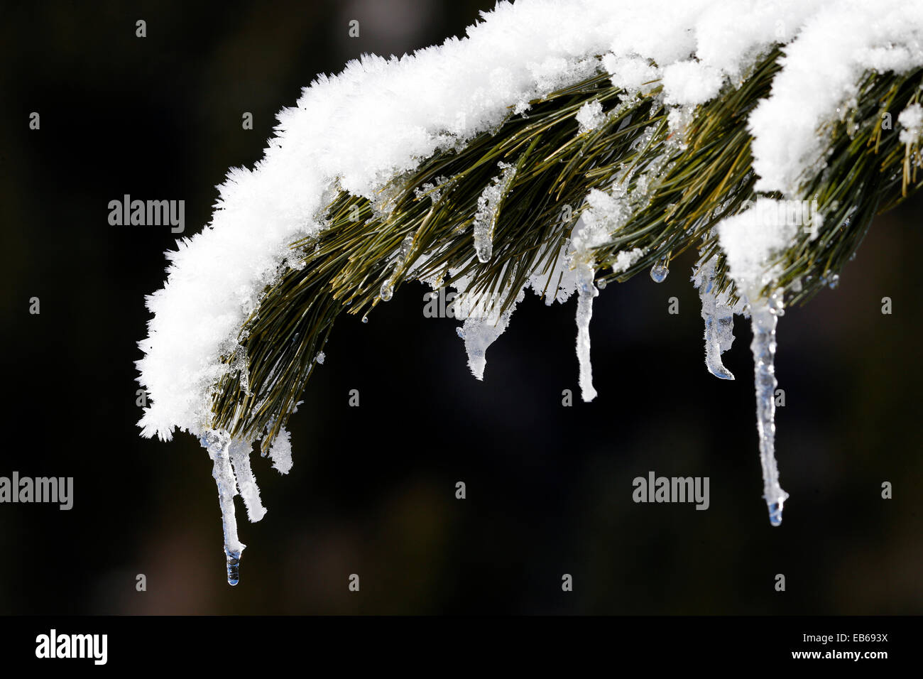 Forecasting frost hi-res stock photography and images - Alamy