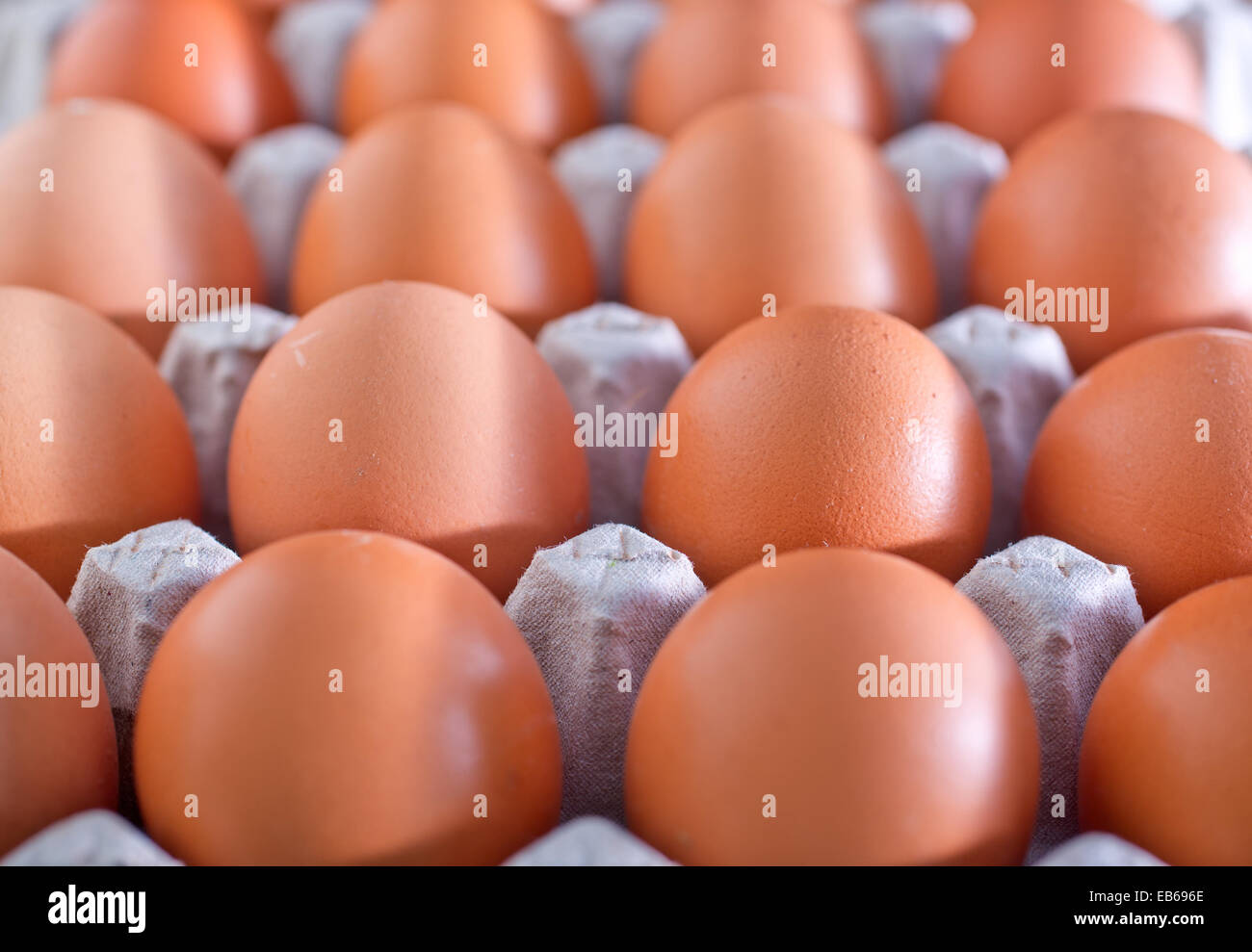 Eeg ellipse hi-res stock photography and images - Alamy