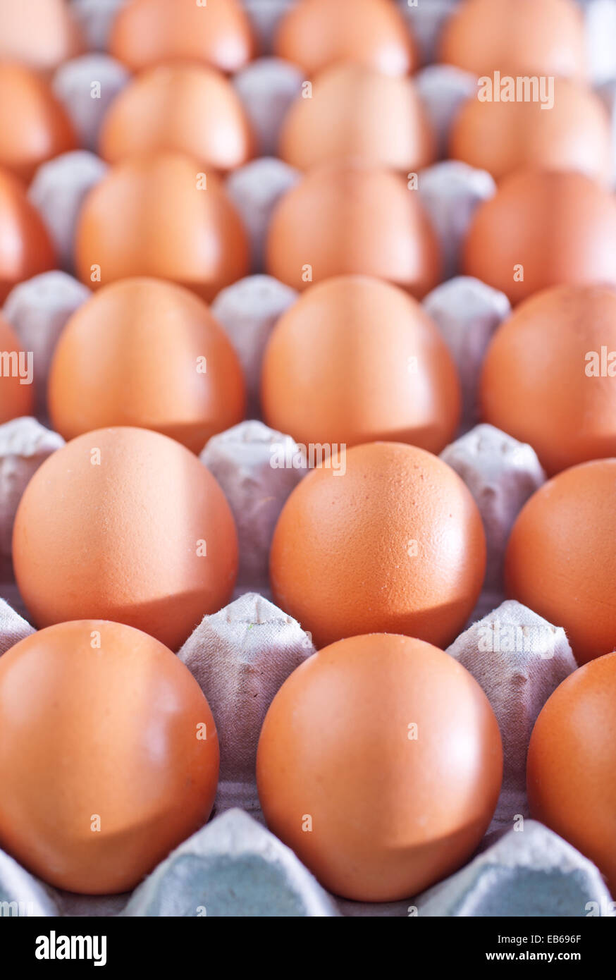 Eeg ellipse hi-res stock photography and images - Alamy