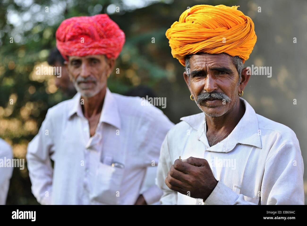 Indian man of Rajasthan portrait India Stock Photo - Alamy