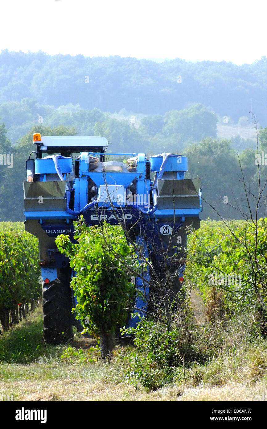 Grape machines hi-res stock photography and images - Alamy