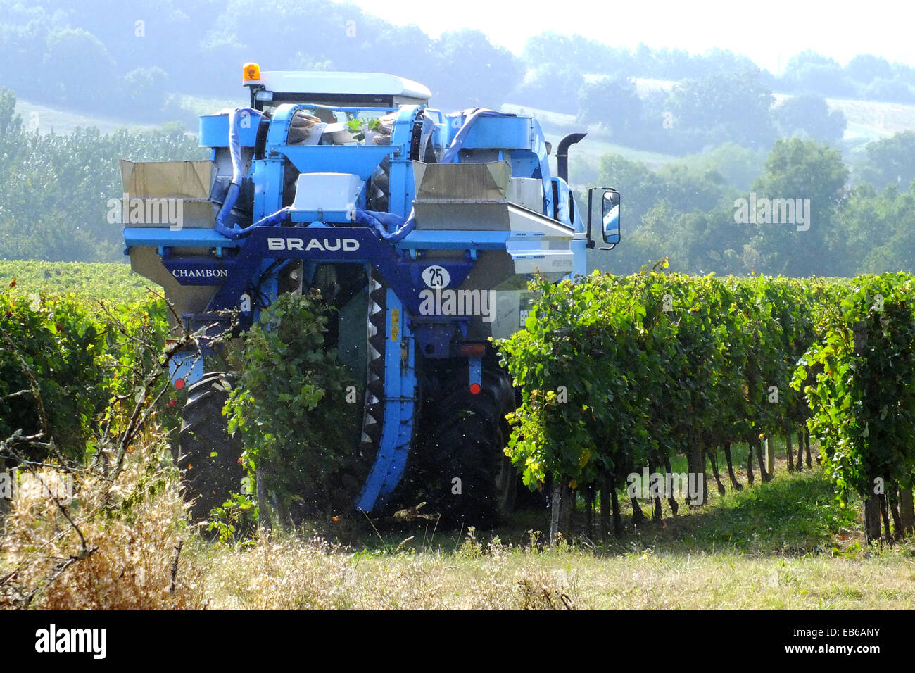 Grape machines hi-res stock photography and images - Alamy