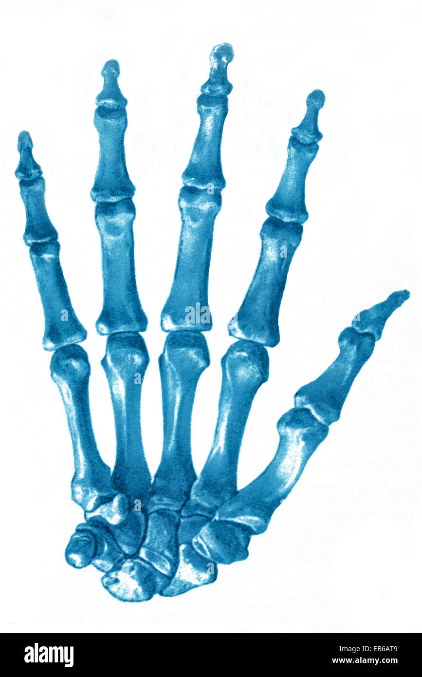 Hand illustration hi-res stock photography and images - Alamy