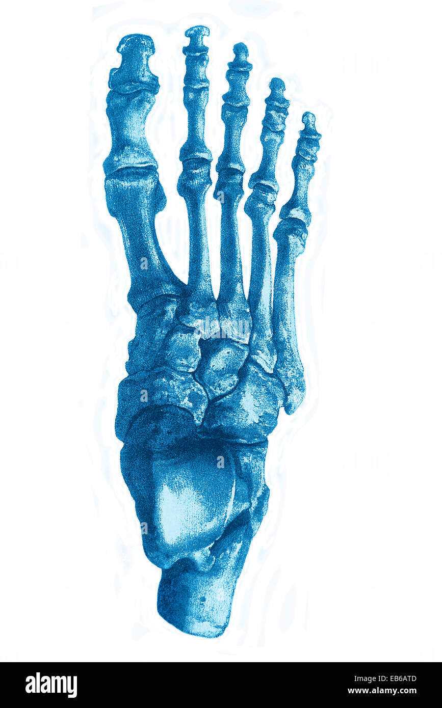 Without foot Cut Out Stock Images & Pictures - Alamy