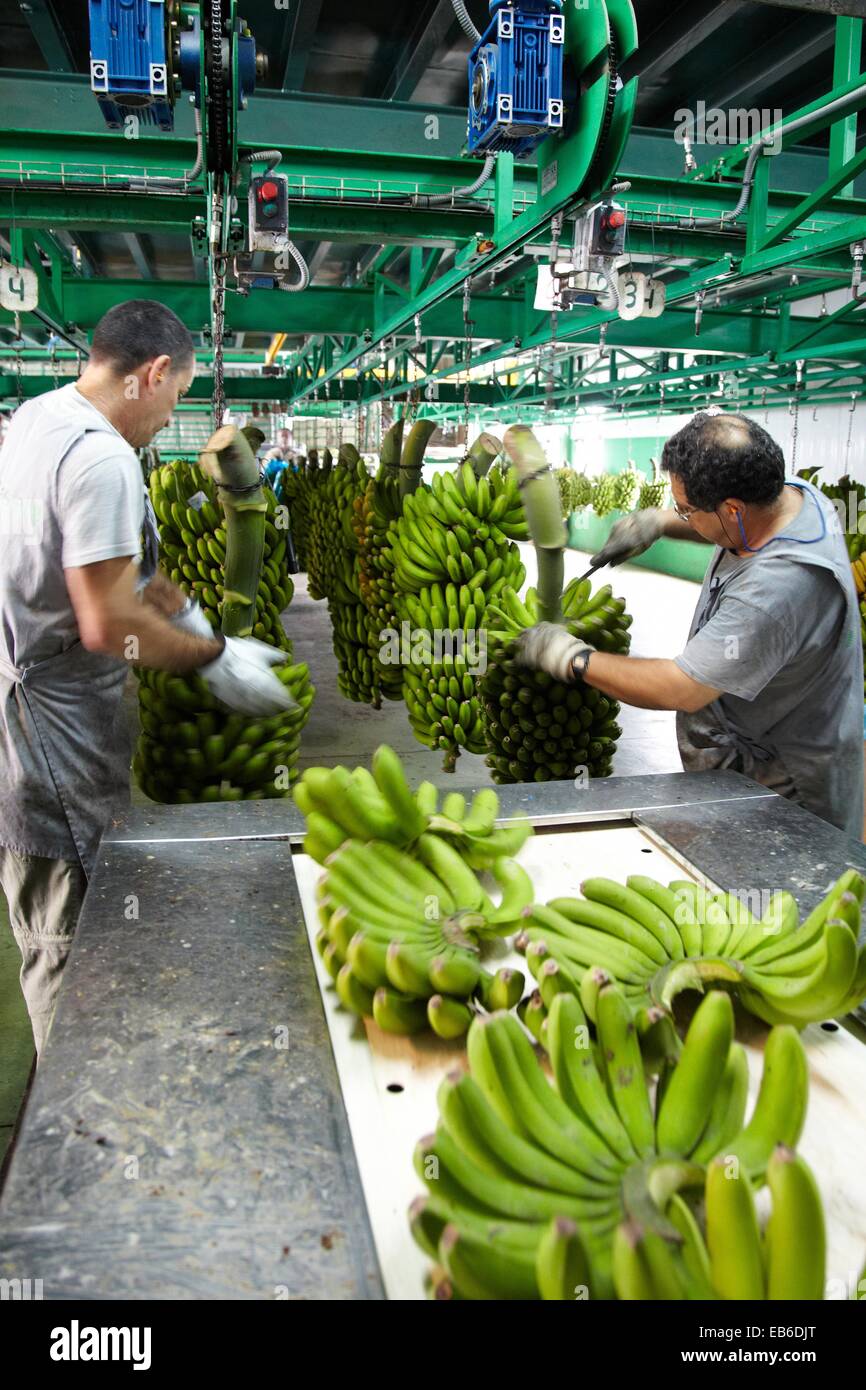 Work travel technology packing hi-res stock photography and images - Alamy