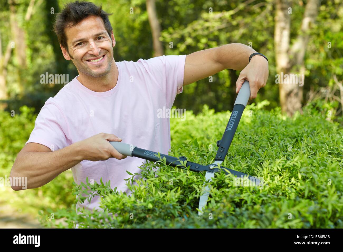 Hedge trimmers, Hand tool, Garden, Gardener pruning bush Stock Photo ...