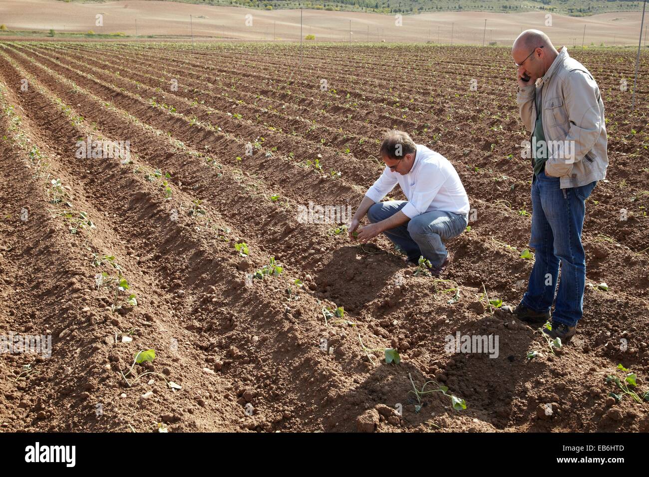 Crop investigation hi-res stock photography and images - Alamy