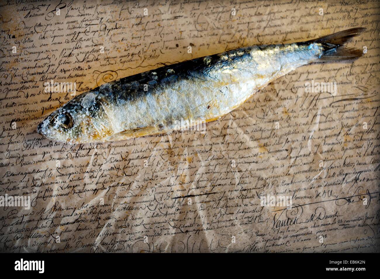 Un ojo azul hi-res stock photography and images - Alamy