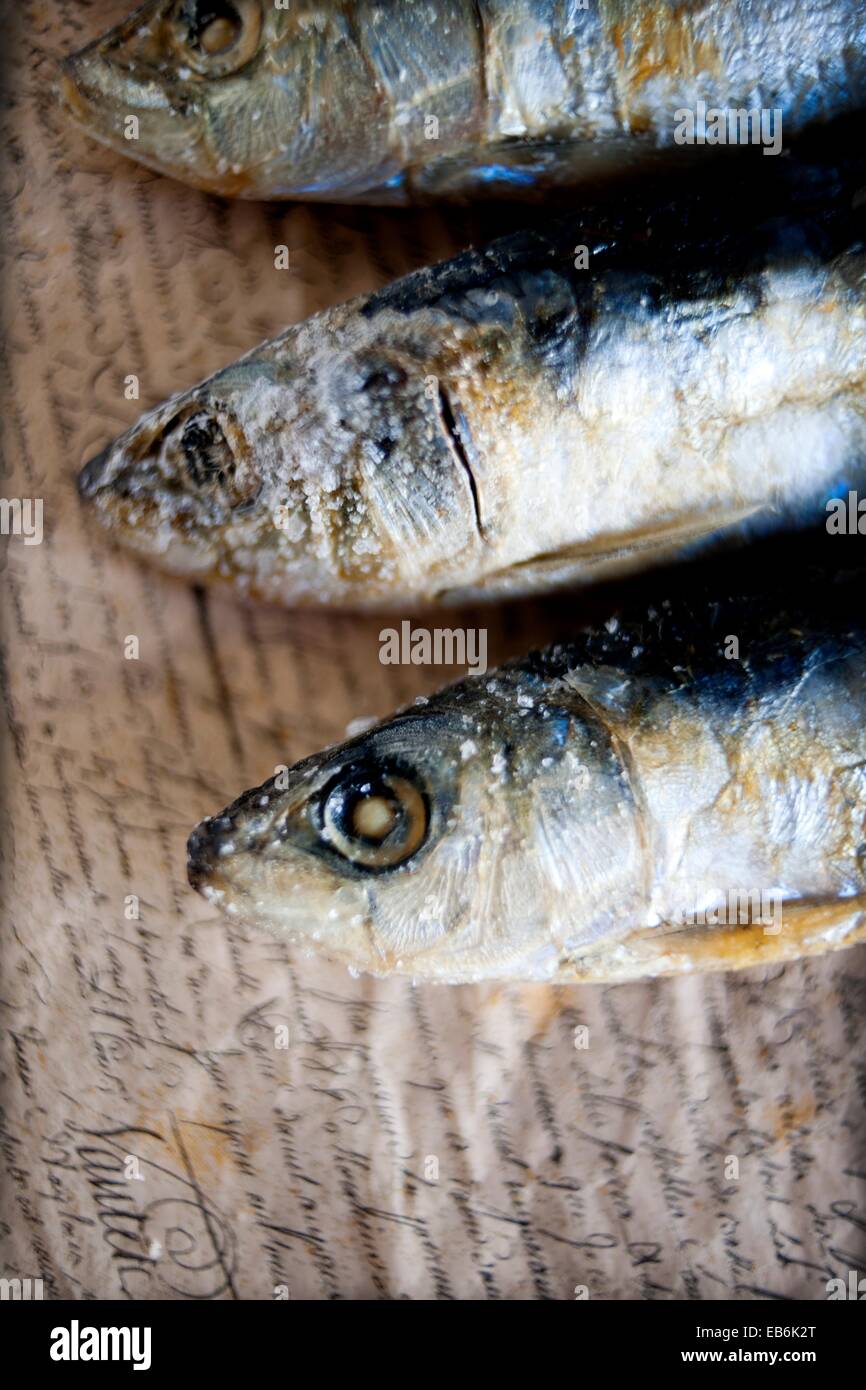 Fondo ecologico hi-res stock photography and images - Alamy