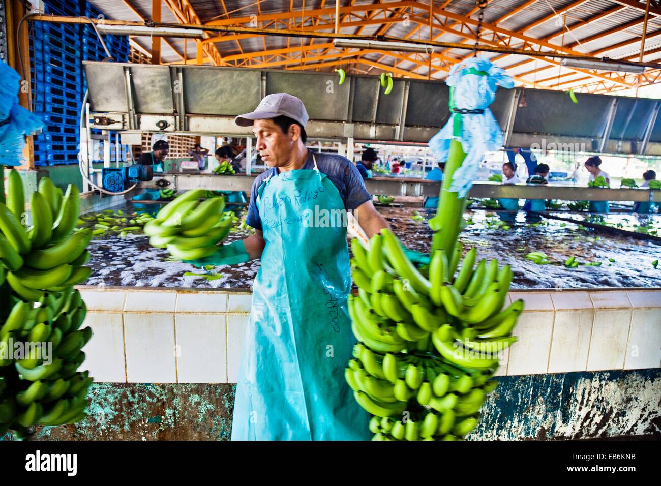 Sixaola High Resolution Stock Photography and Images - Alamy