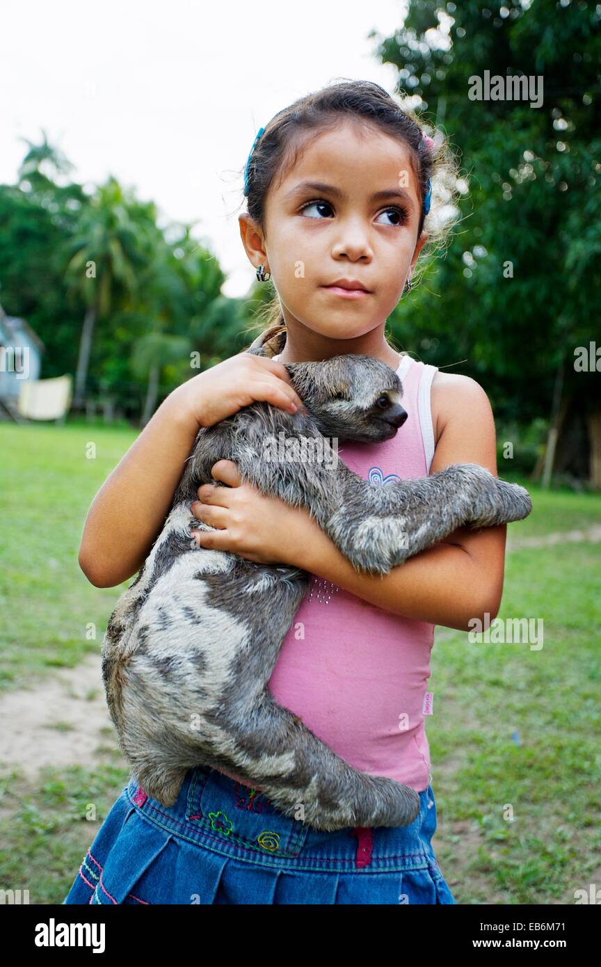 Person holding baby sloth hi-res stock photography and images - Alamy